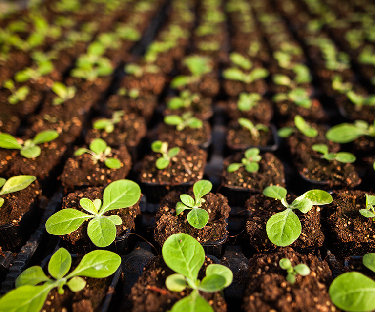 How Product Marketing Can Better Help to Align the Entire Go-to-Market | Informa TechTarget