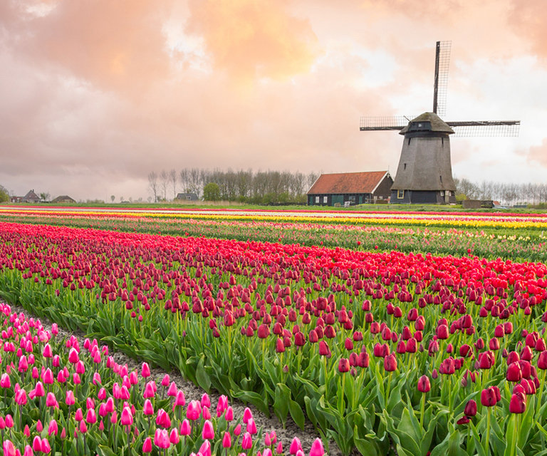Attracting and Retaining Tech Customers in EMEA | Informa TechTarget