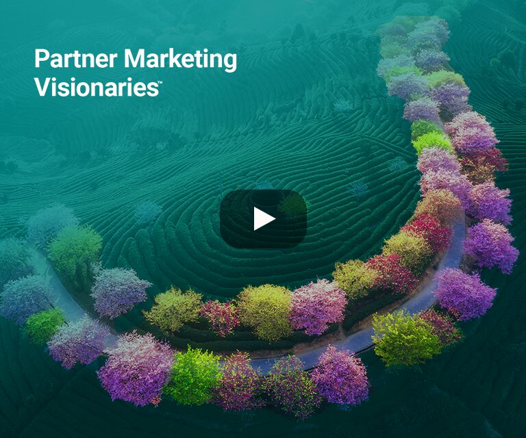 Partner Marketing Visionaries, Ep. 20: Effective Channel Partner ...